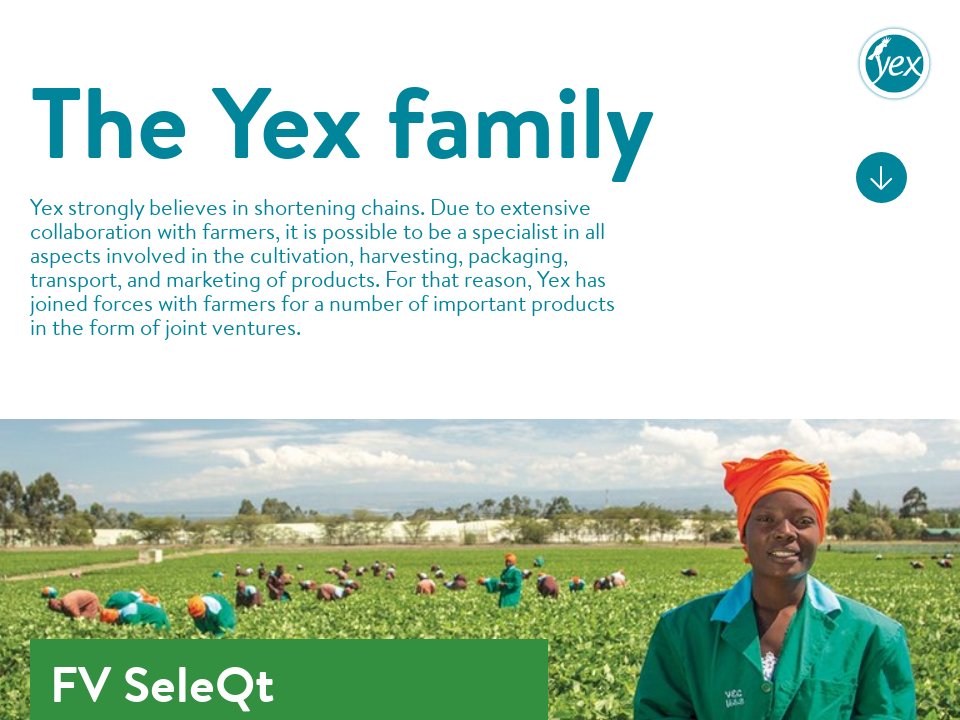 Yex Family - Yearly Yex 2020